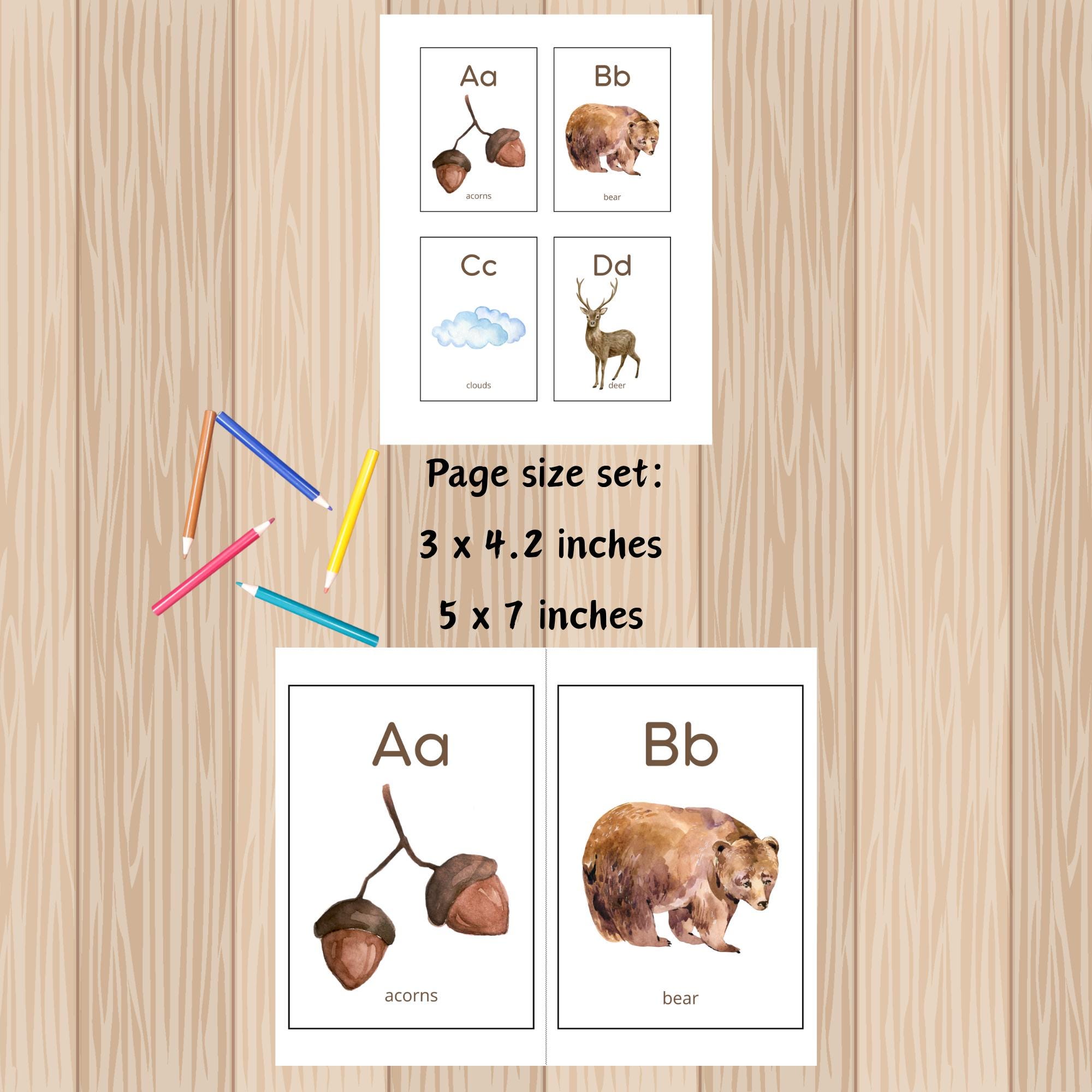 Nature Alphabet Flashcards | Montessori-inspired ABC Cards for Kids ...