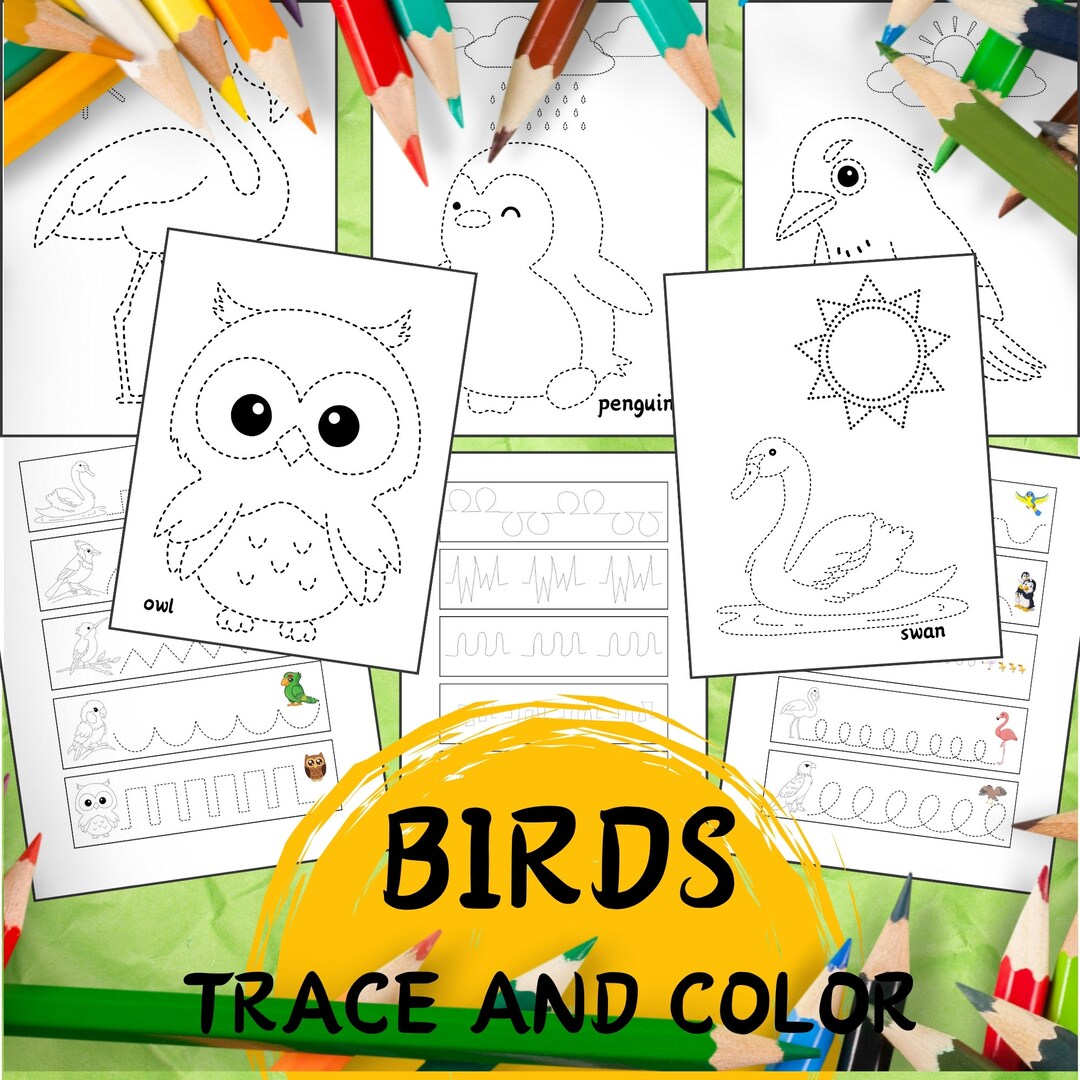 Birds Tracing Printable Toddler Busy Book, Trace the Line, Montessori ...