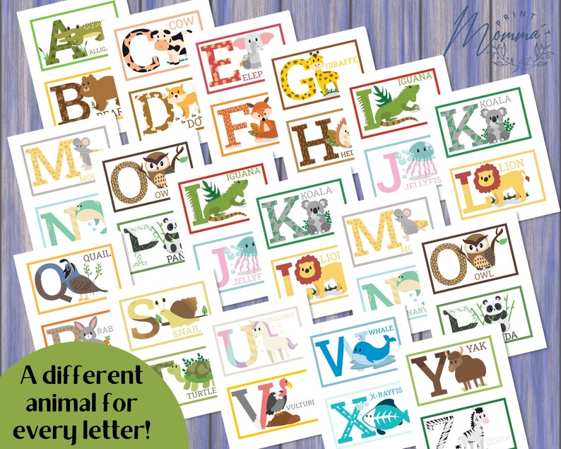 Scavenger Hunt Alphabet Safari Printable Alphabet Hiding Game Digital ...