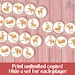 Find Santa's Missing Reindeer Game Printable | Reindeer Scavenger Hunt ...