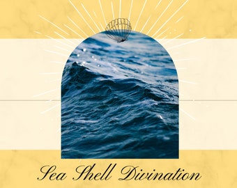 Seashell Divination - Etsy
