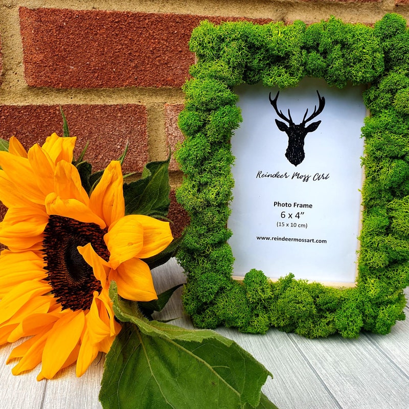 Unique Photo Frames - Etsy