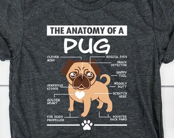 Anatomía de un pug | Etsy España