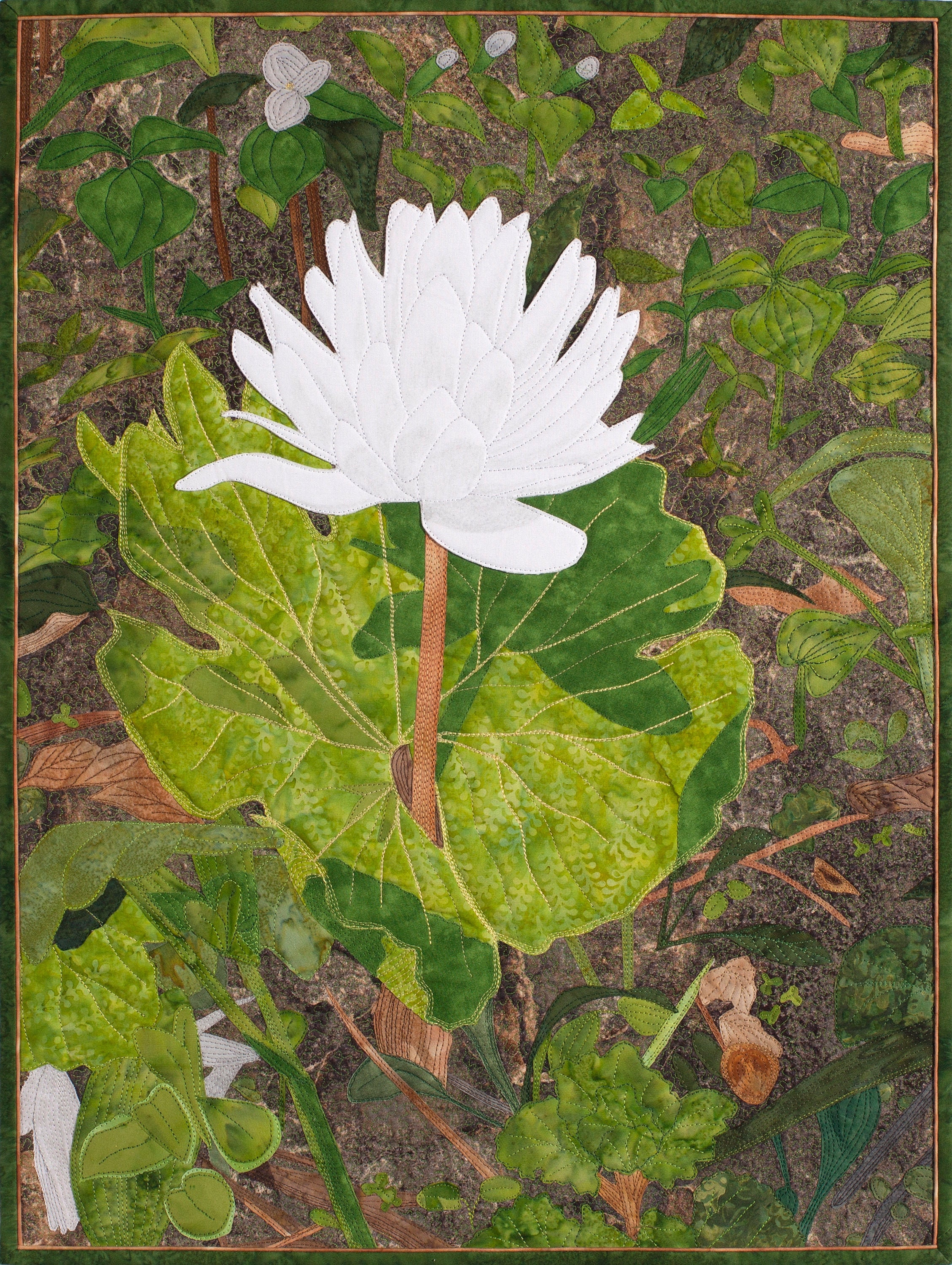 Double Bloodroot Flower