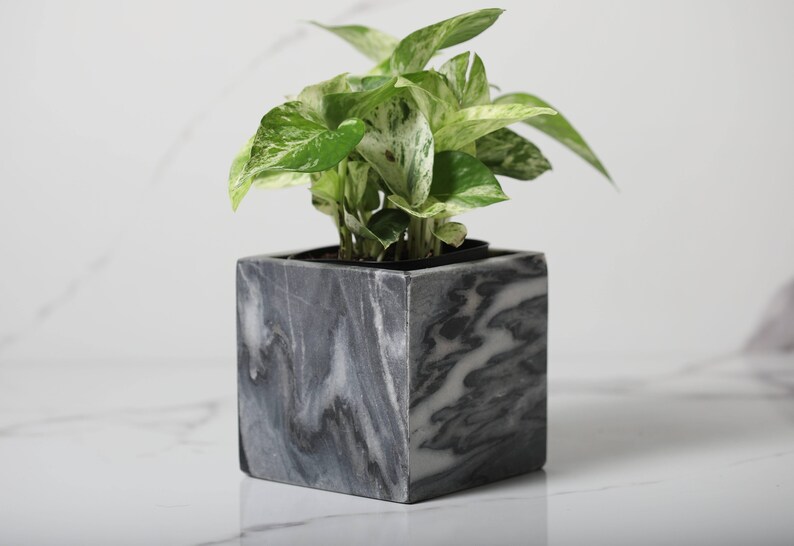 Square Genuine Gray Marble Pots Succulent Planter Orchid - Etsy