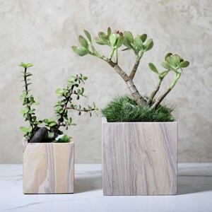 Square Genuine Rainbow Sandstone Pot Set Succulent Orchid - Etsy