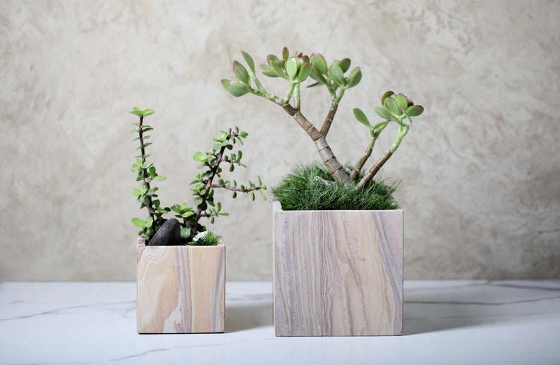 Square Genuine Rainbow Sandstone Pot Set Succulent Orchid - Etsy