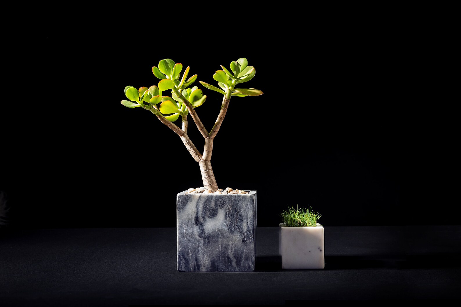 Square Genuine Gray Marble Pots Succulent Planter Orchid - Etsy