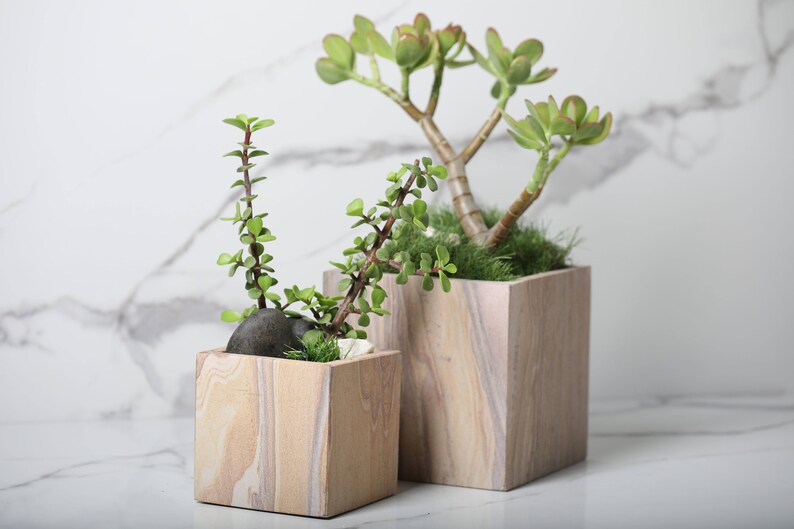 Square Genuine Rainbow Sandstone Pot Set Succulent Orchid - Etsy