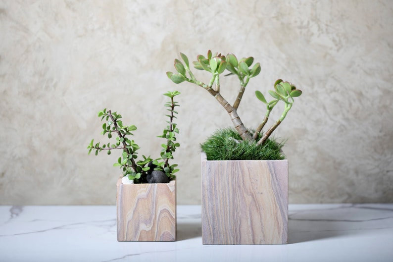 Square Genuine Rainbow Sandstone Pot Set Succulent Orchid - Etsy