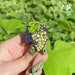 Grape Enamel Pin - Etsy
