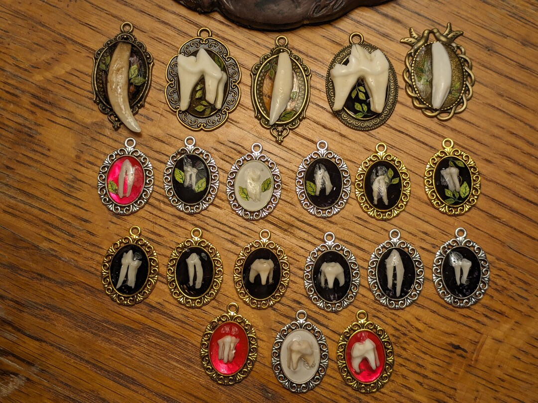 Raccoon/ Opossum Teeth - Etsy