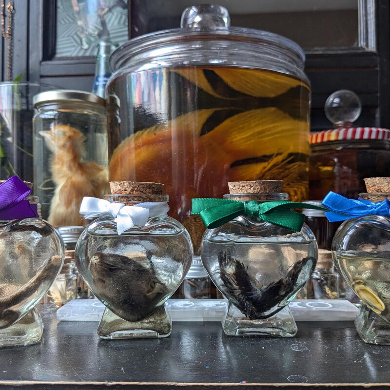 Fart in a Jar - Etsy