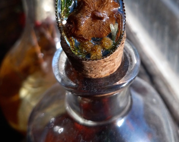 Real Mushroom Ring. Whimsigoth. Witch Rings. Wet Specimen. Oddity. - Etsy