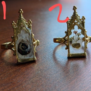 Oddities - Etsy