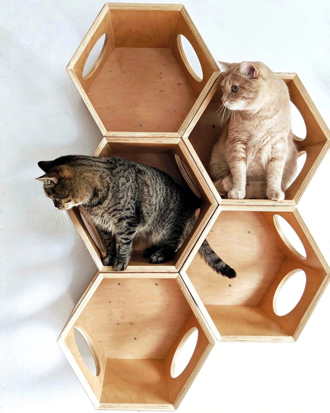 Cat Wall Shelves Cat Bed Cat Shelf Cat Play Furniture Cat | Etsy