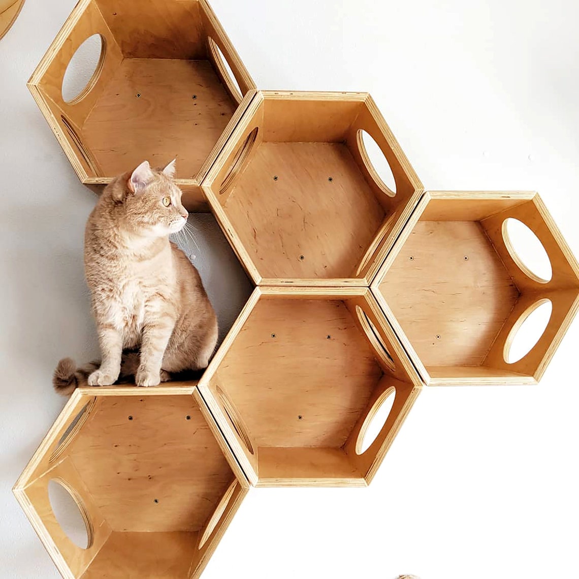Cat Wall Shelves Cat Furniture Cat Bed Cat House | Etsy
