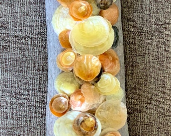 Mermaids Toenails - Etsy