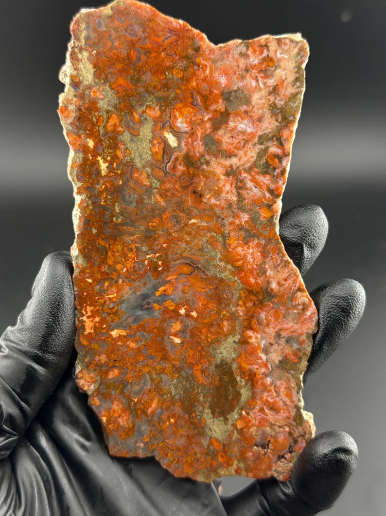 Rare* Rosebud Agate Slabs (3) - La Junta, Colorado - Etsy