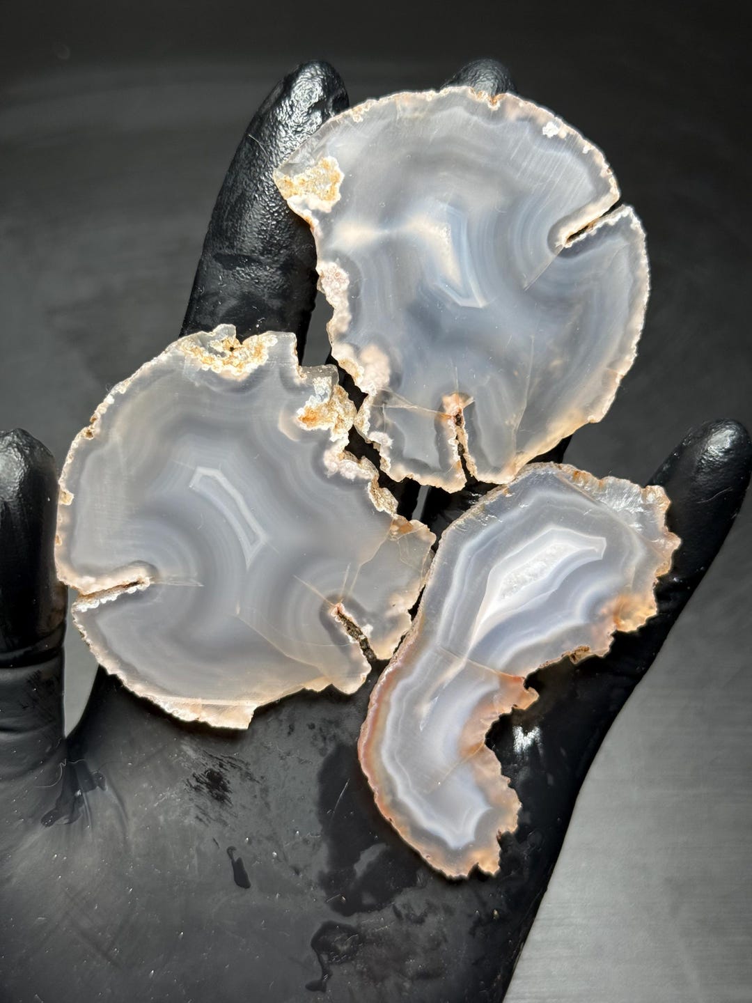 Congleton Hollow Limb Cast Slabs (3) - Oregon - - Etsy