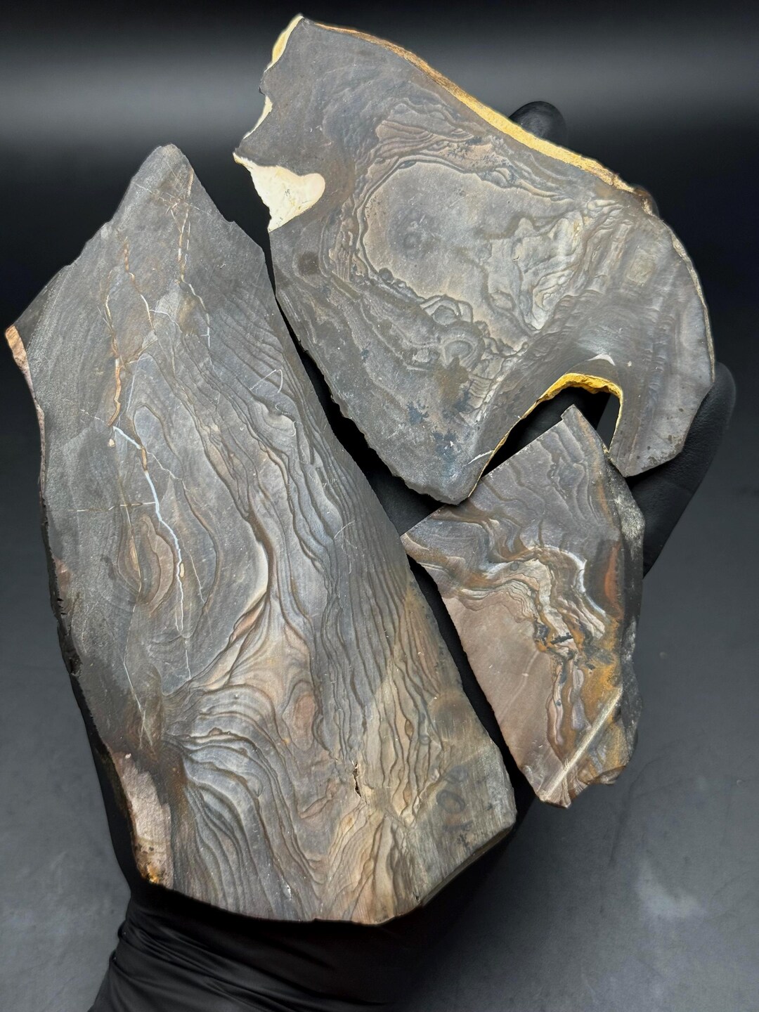 Blue Biggs Picture Jasper Slabs (2) Oregon - Etsy