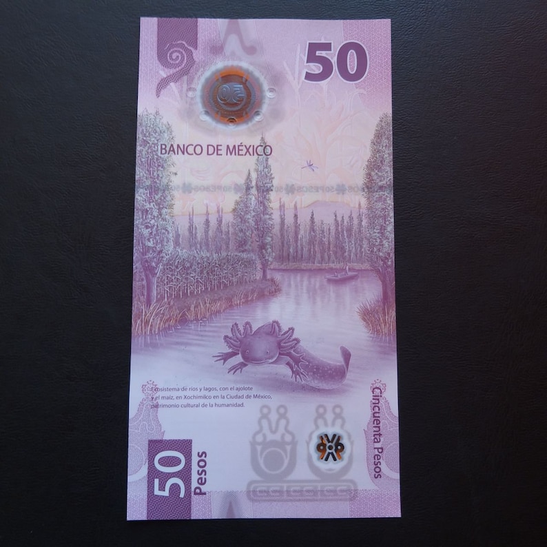50 Pesos Mexico Axolotl UNC Collection Banknote Polymer Numismatics ...