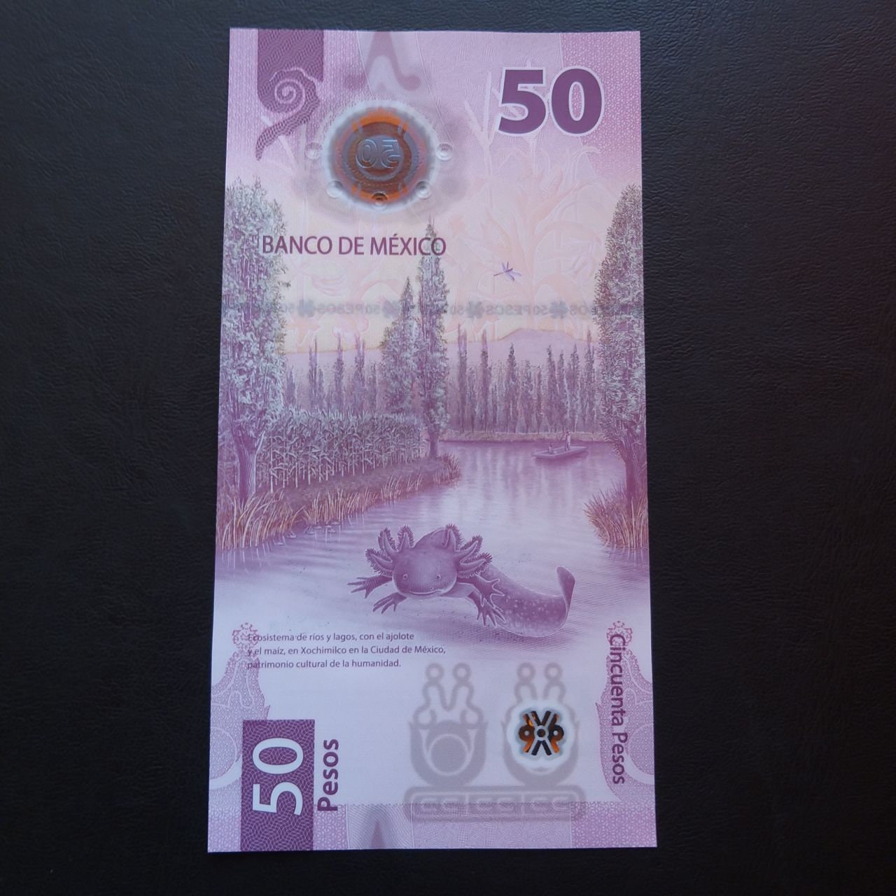 50 Pesos Mexico Axolotl UNC Collection Banknote Polymer Numismatics ...