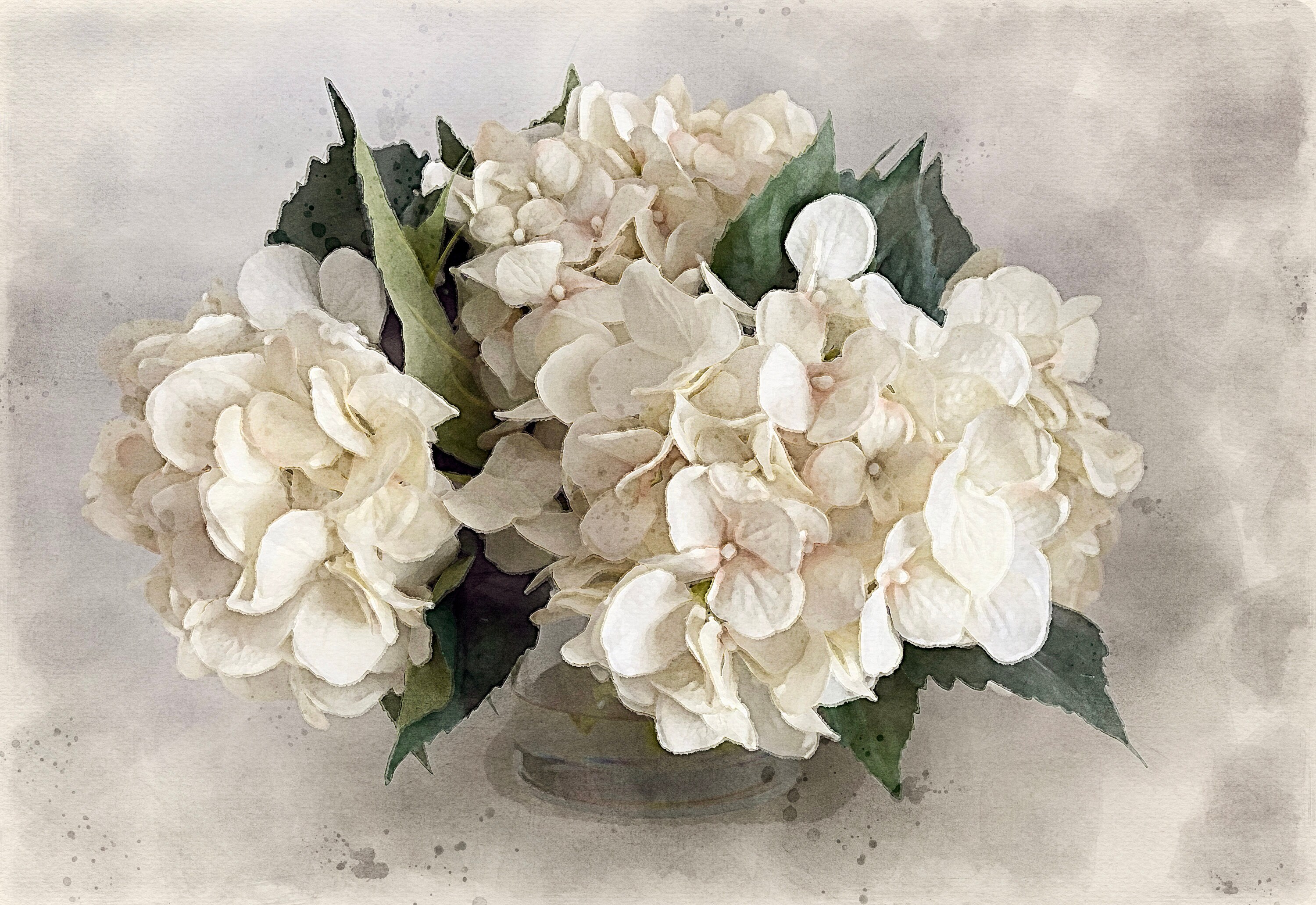 Floral Digital Watercolor Print | White Hydrangeas - Etsy