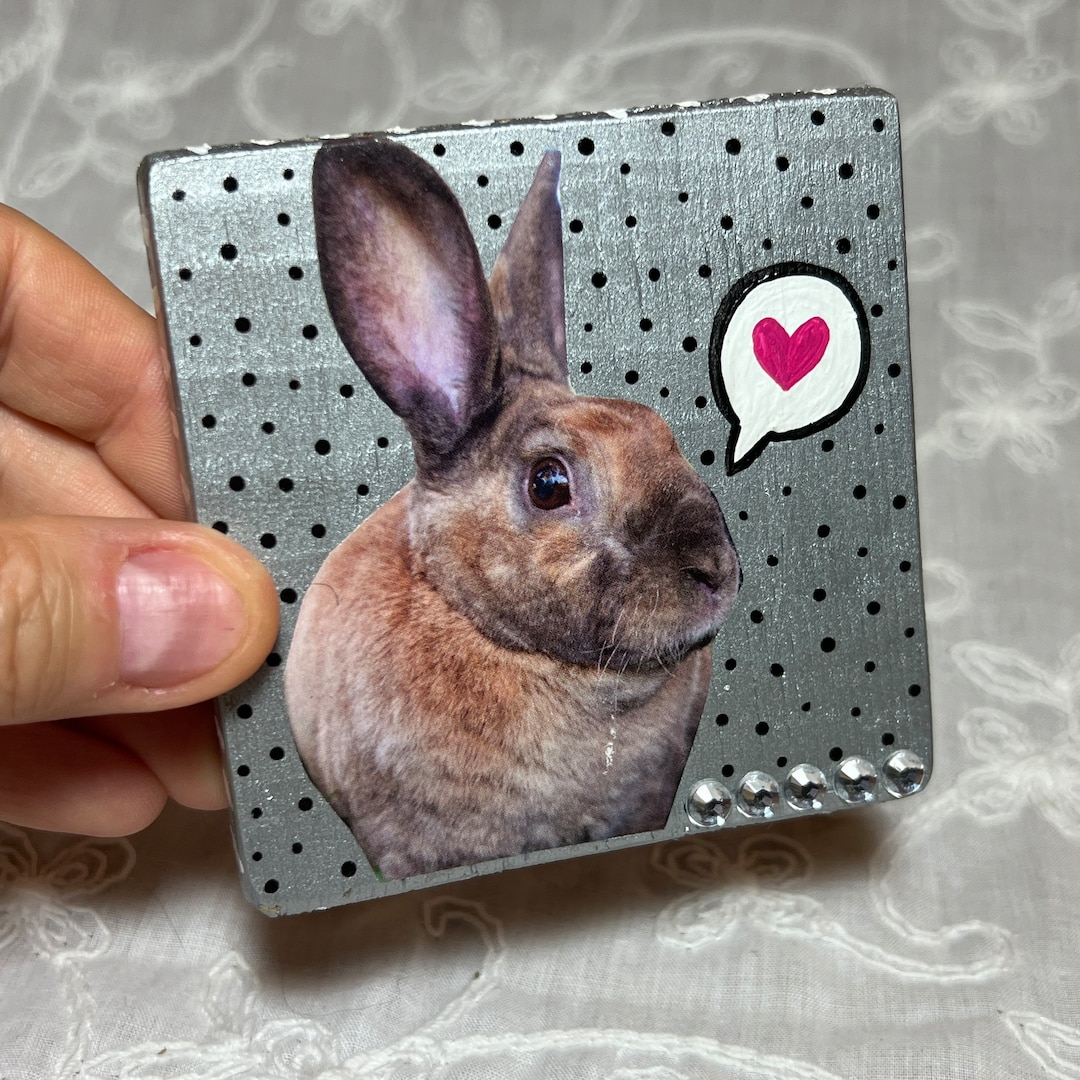 Rescue Rabbit Plaque, Bunny Art, Small Art, Rescue Animal Plaque ...