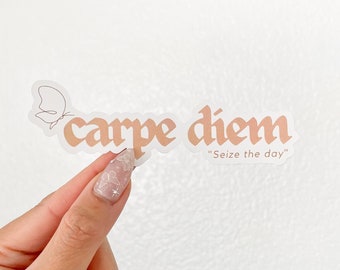 Carpe Diem Stickers | Etsy