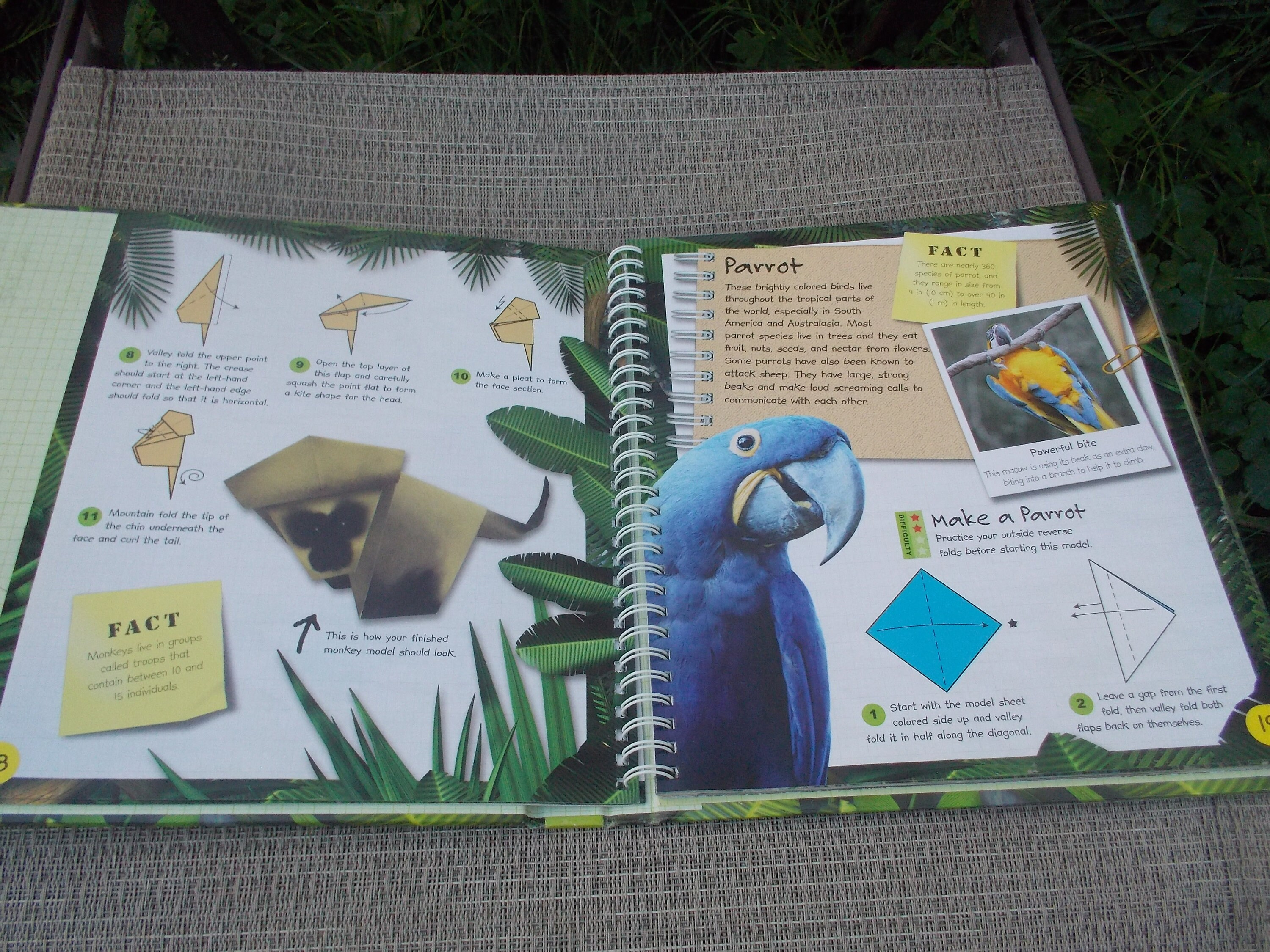 Origami Book, Used Book, Origami Adventures Animals, 14 Origami Models ...