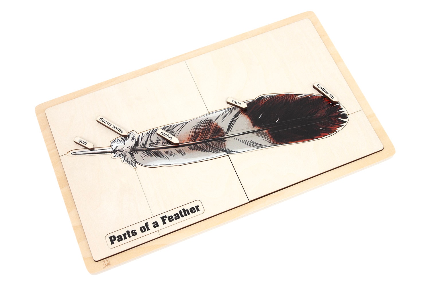 Parts of a Feather Puzzle | Montessori Material | Montessori Science ...