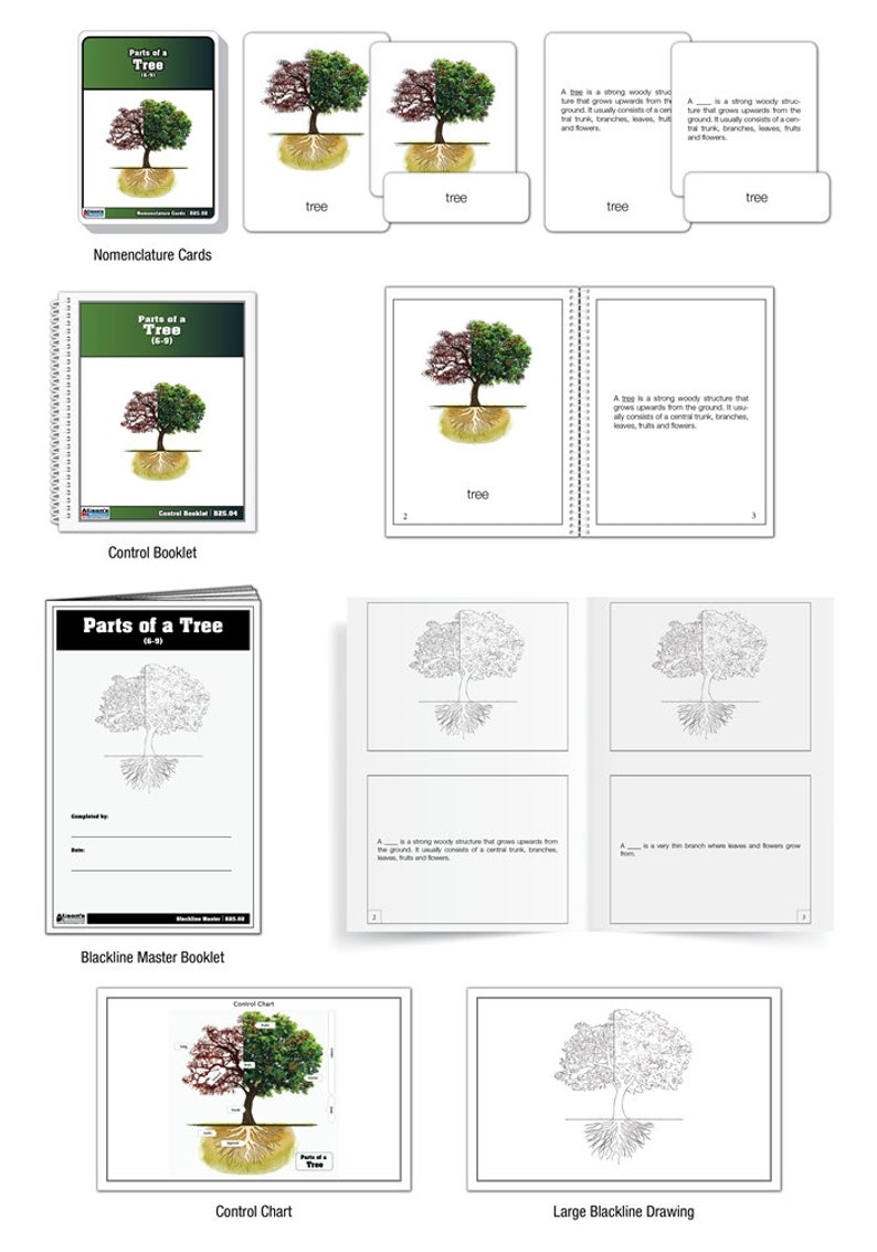 Parts of a Tree Puzzle With Nomenclature Cards printed 6-9 Montessori ...