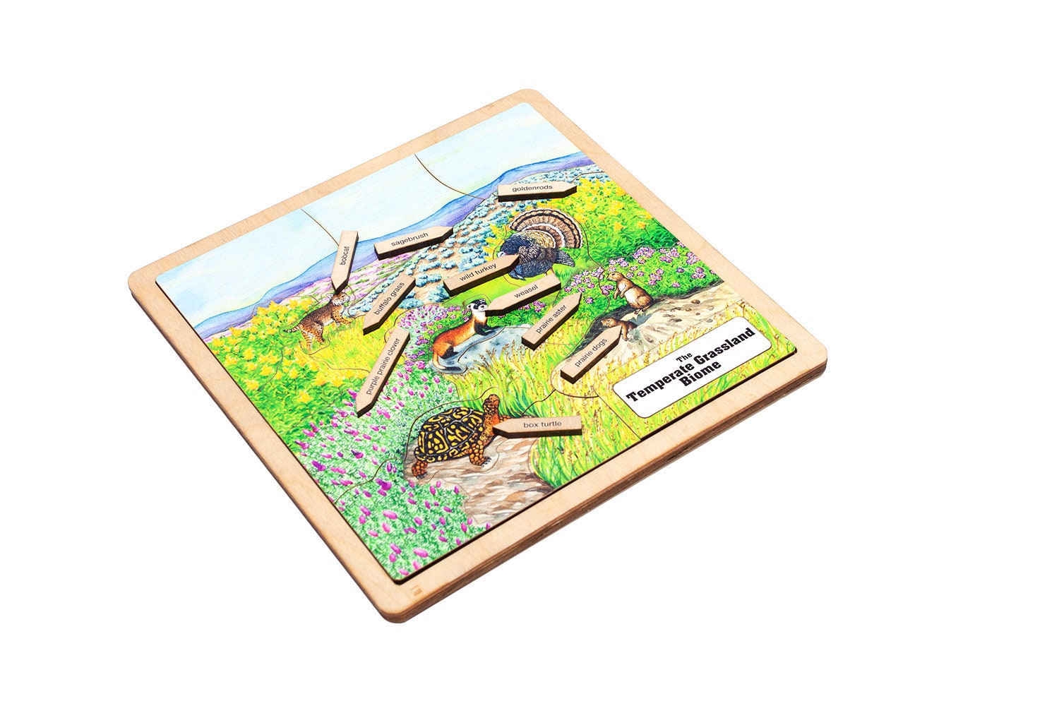 Temperate Grassland Biome Puzzle | Animal Habitat | Grassland Biome ...