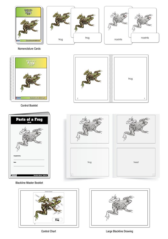 Parts of a Frog Puzzle With Nomenclature Cards 3-6 Montessori Materials ...