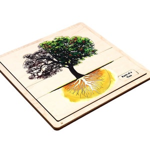 Parts of a Tree Puzzle With Nomenclature Cards (printed) (3-6 ...