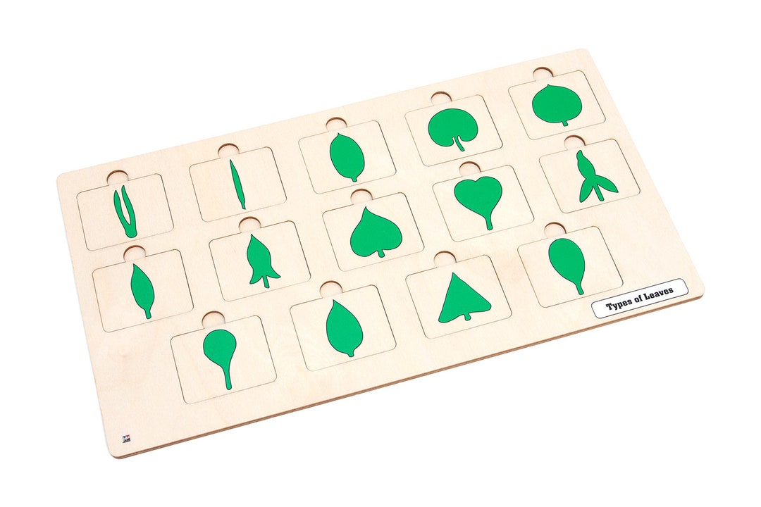 Types of Leaves Puzzle With Nomenclature Cards 3-6 (printed ...