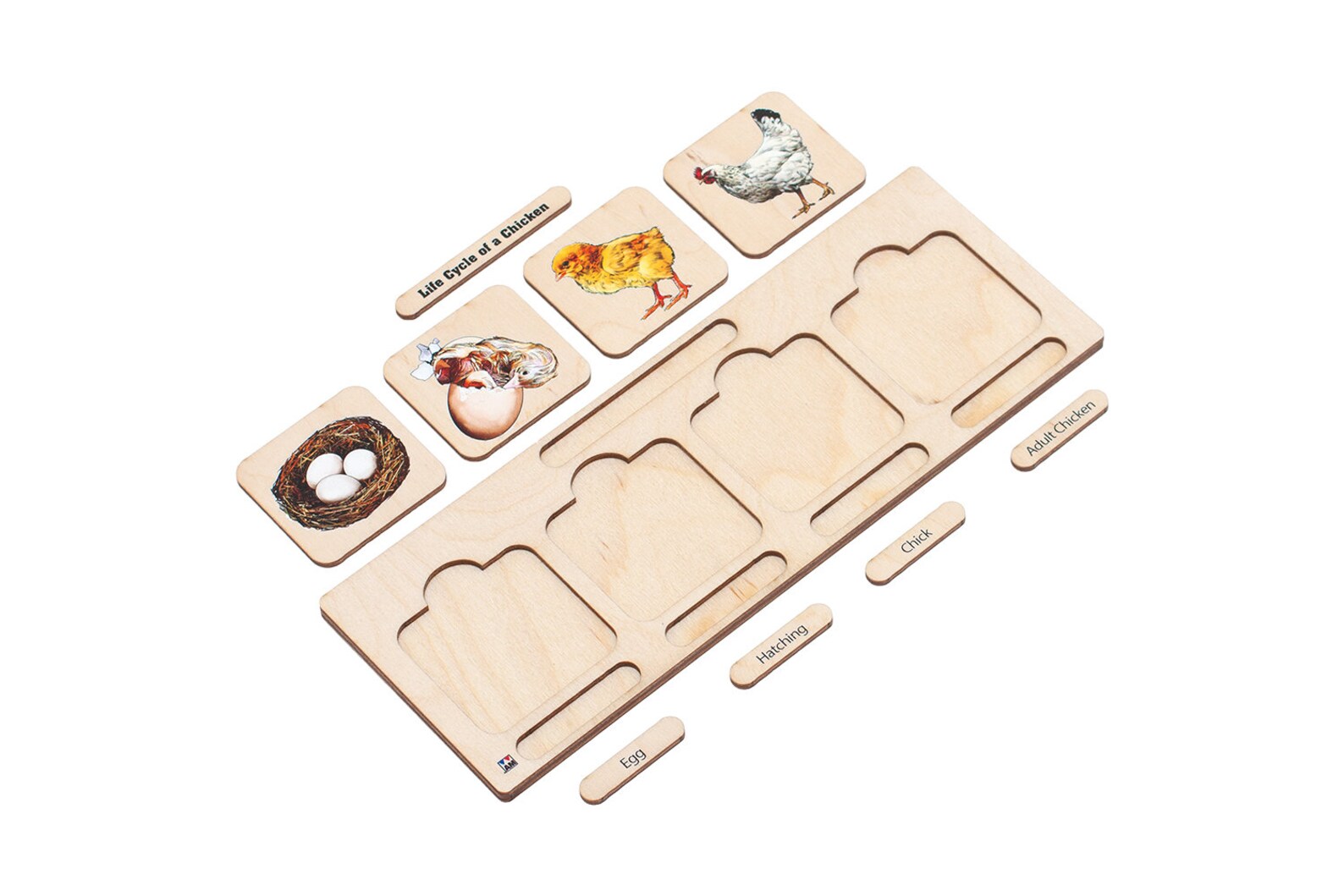 Wooden Life Cycle of a Chicken Life Cycle Set: Chicken - Etsy