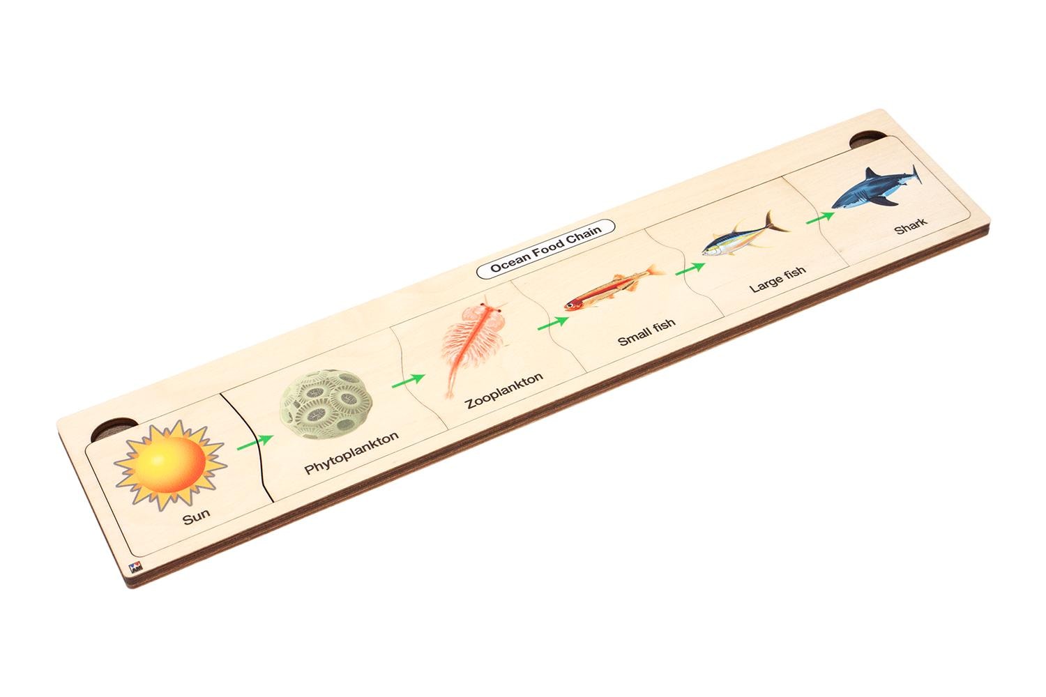 Ocean Food Chain Wooden Puzzle: Educational Montessori Science Toy for ...