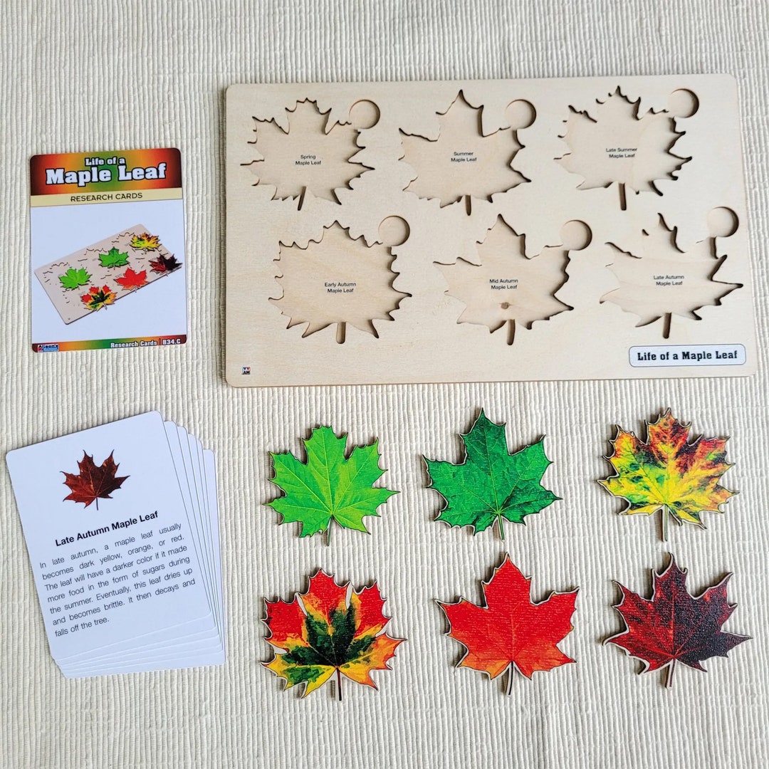 Life of a Maple Leaf Puzzle | Montessori Leaf Puzzle | Wooden Leaf ...