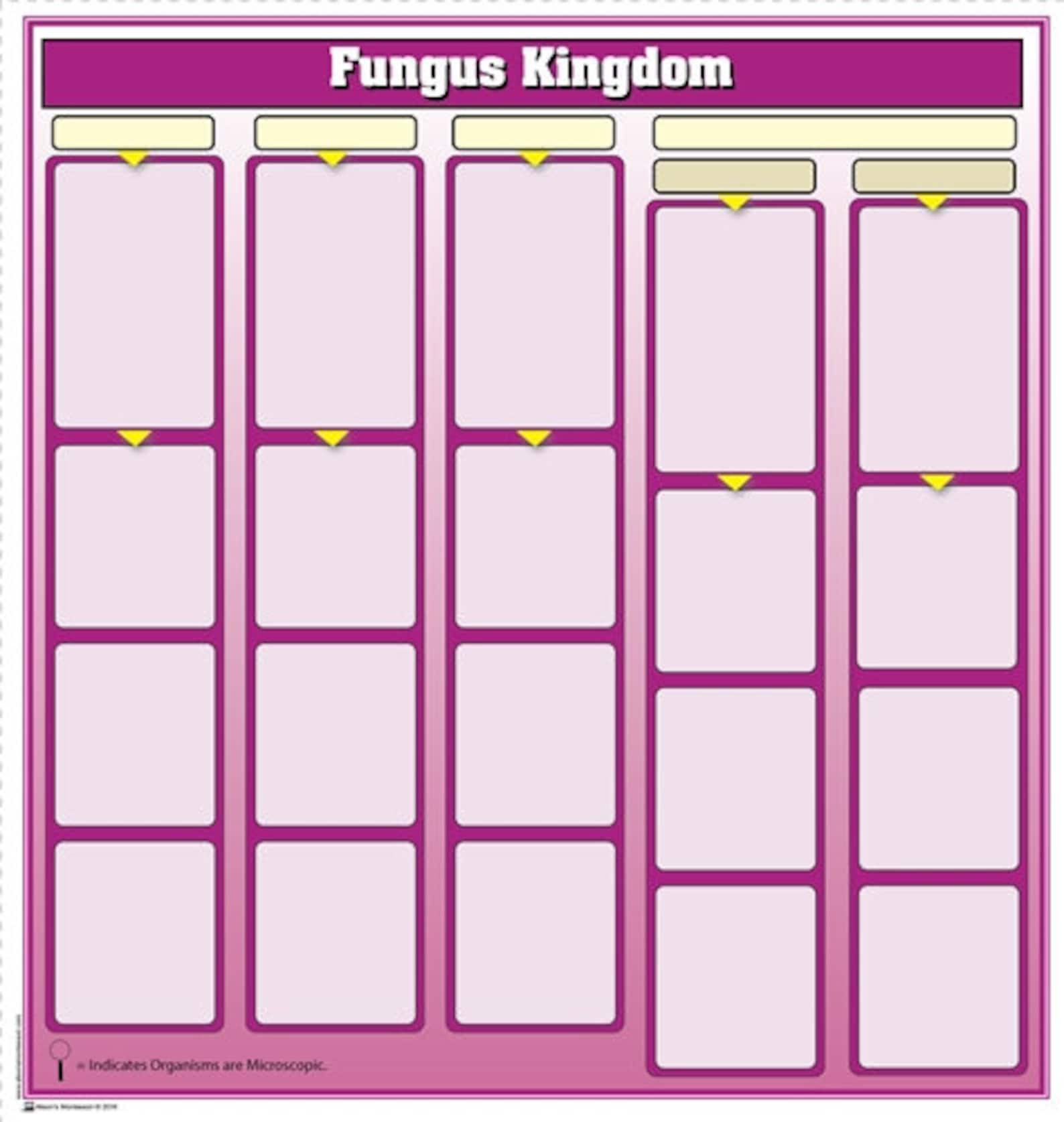 Fungus Kingdom Chart Complete Set | Fungus Kingdom Printable ...