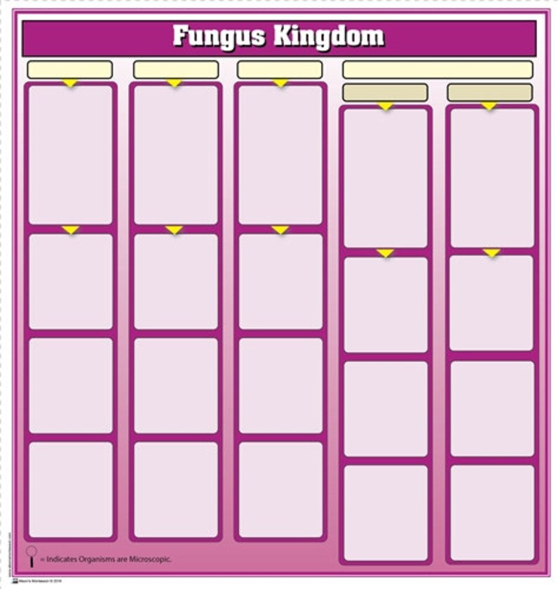 Fungus Kingdom Chart Complete Set | Fungus Kingdom Printable ...