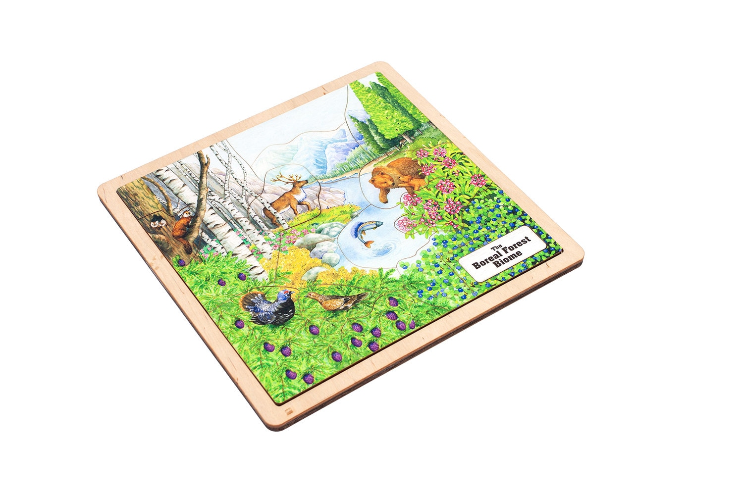 Boreal Forest Biome Puzzle | Boreal Forest | Forest Animal Habitat ...