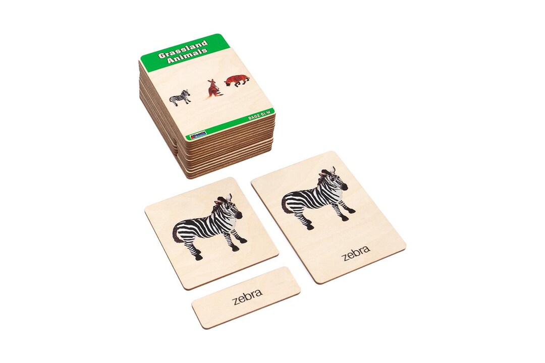 Grassland Animals Wooden Nomenclature Cards | Montessori Printable ...