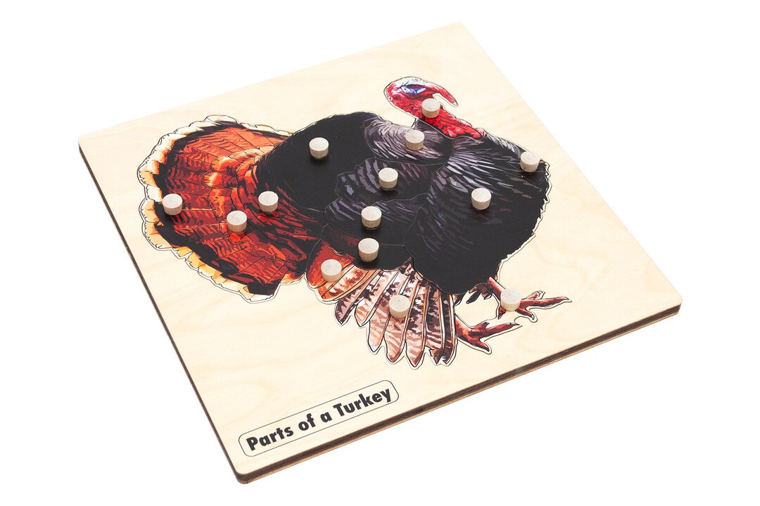 Parts of a Turkey Puzzle | Montessori Material | Zoology Puzzle ...