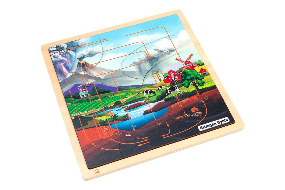 Parts of a Nitrogen Cycle Puzzle | Montessori Materials | Montessori ...