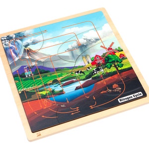 Parts of a Nitrogen Cycle Puzzle | Montessori Materials | Montessori ...