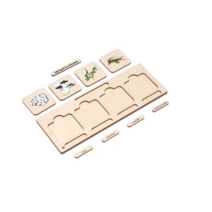 Wooden Life Cycle of a Crocodile Puzzle | Montessori Life Cycle ...
