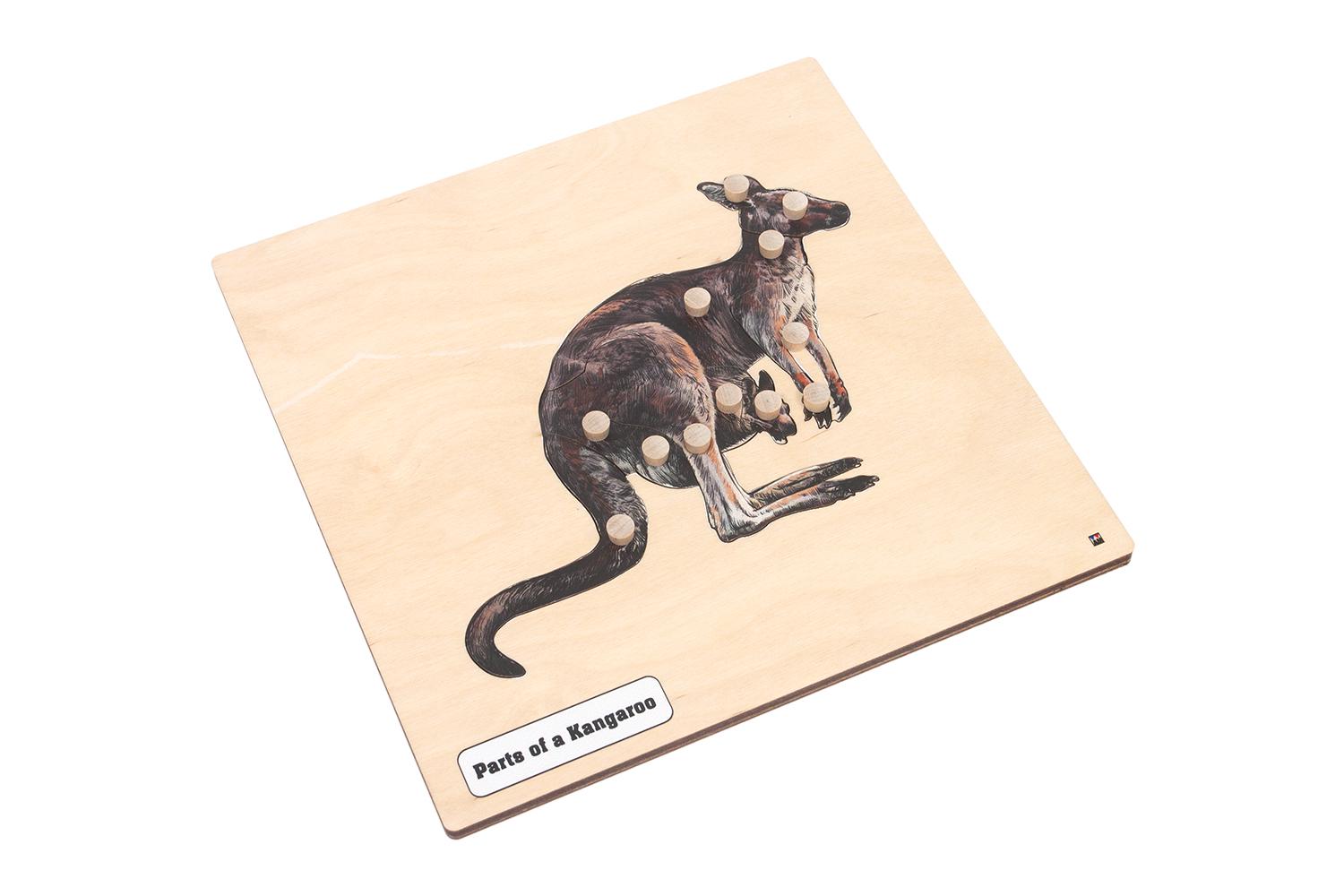Parts of a Kangaroo Puzzle | Montessori Materials | Montessori Zoology ...