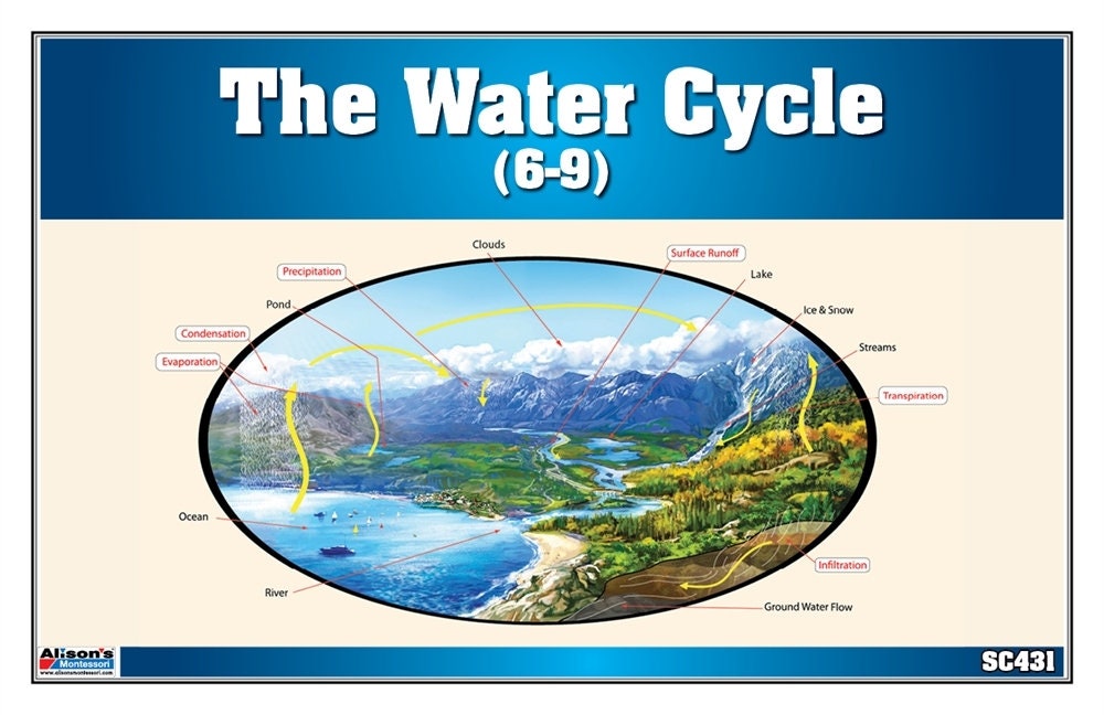 The Water Cycle Puzzle With Nomenclature Cards 6-9 Montessori Materials ...